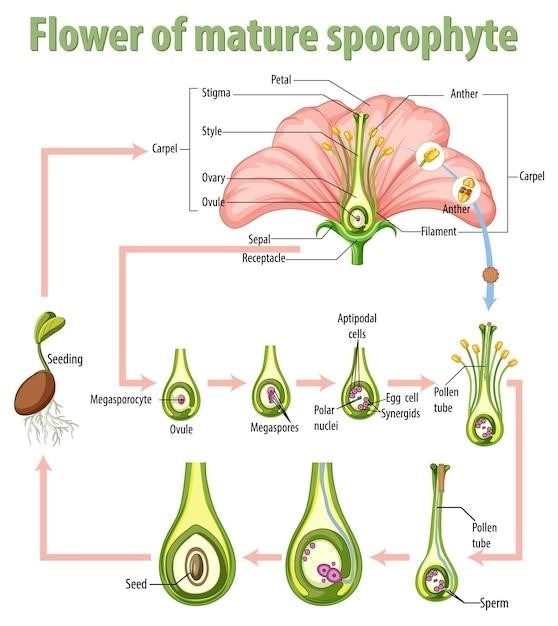 Vanessa Jason Biology Roots Answer Key PDF - Joseph World
